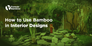 How to Use Bamboo in Interior Designs | Forever Bamboo