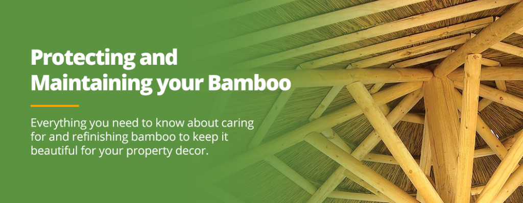 How to Protect & Maintain Bamboo – Fencing Stain Tips