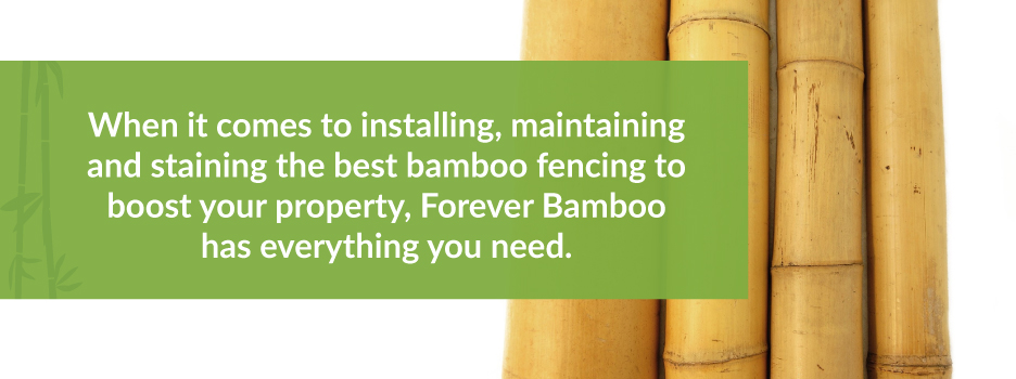 How To Enhance Your Bamboo Fencing with Stain | Forever Bamboo