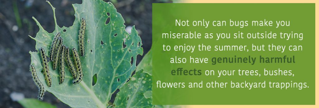 Bug-Proof Your Backyard – Create a Pest-Free Outdoor Escape