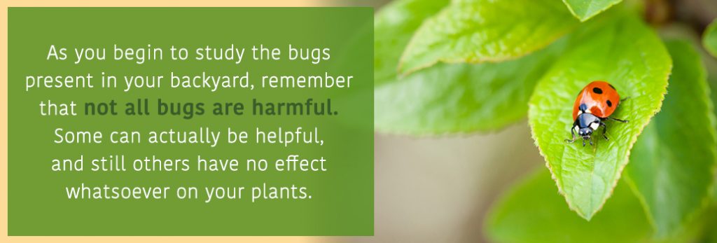 How To Bug-Proof Your Backyard - Bamboo Products | Thatch Products ...