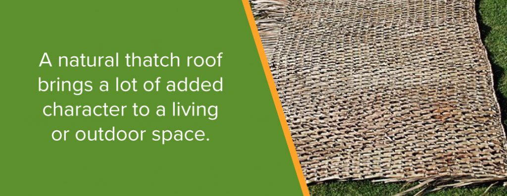 Install a Thatch Roof – Easy DIY Guide for Beginners