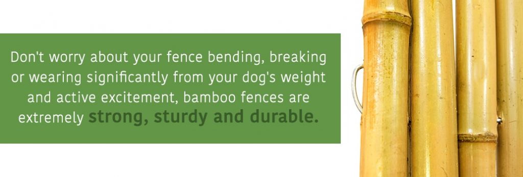Bamboo Fencing and Pets - Bamboo Products | Thatch Products | Forever ...