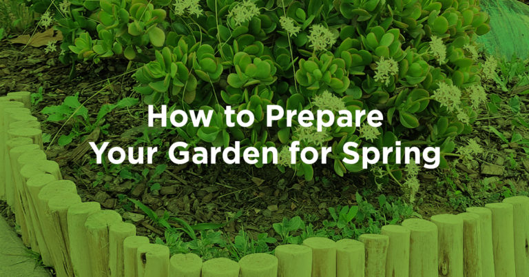 How to Prepare Your Garden for Spring - Bamboo Products | Thatch ...